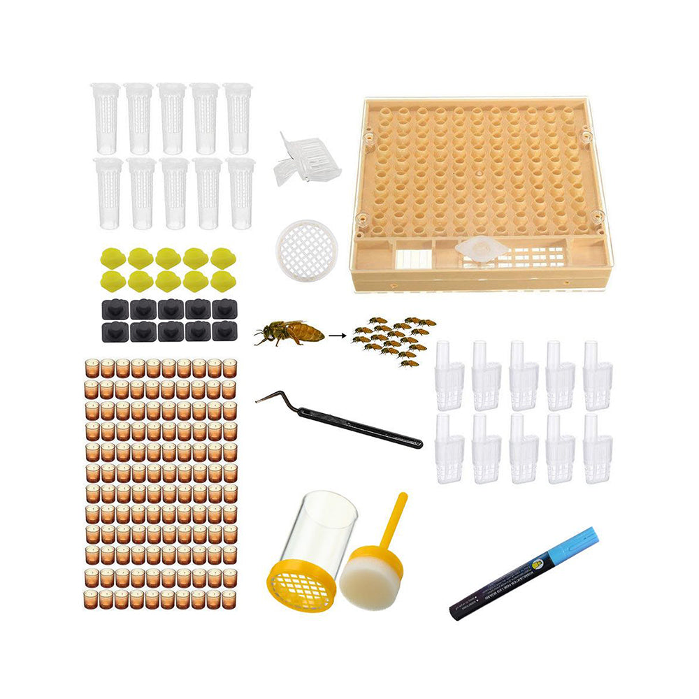 Bee Queen Rearing Tools – Ozee beekeeping Supplies