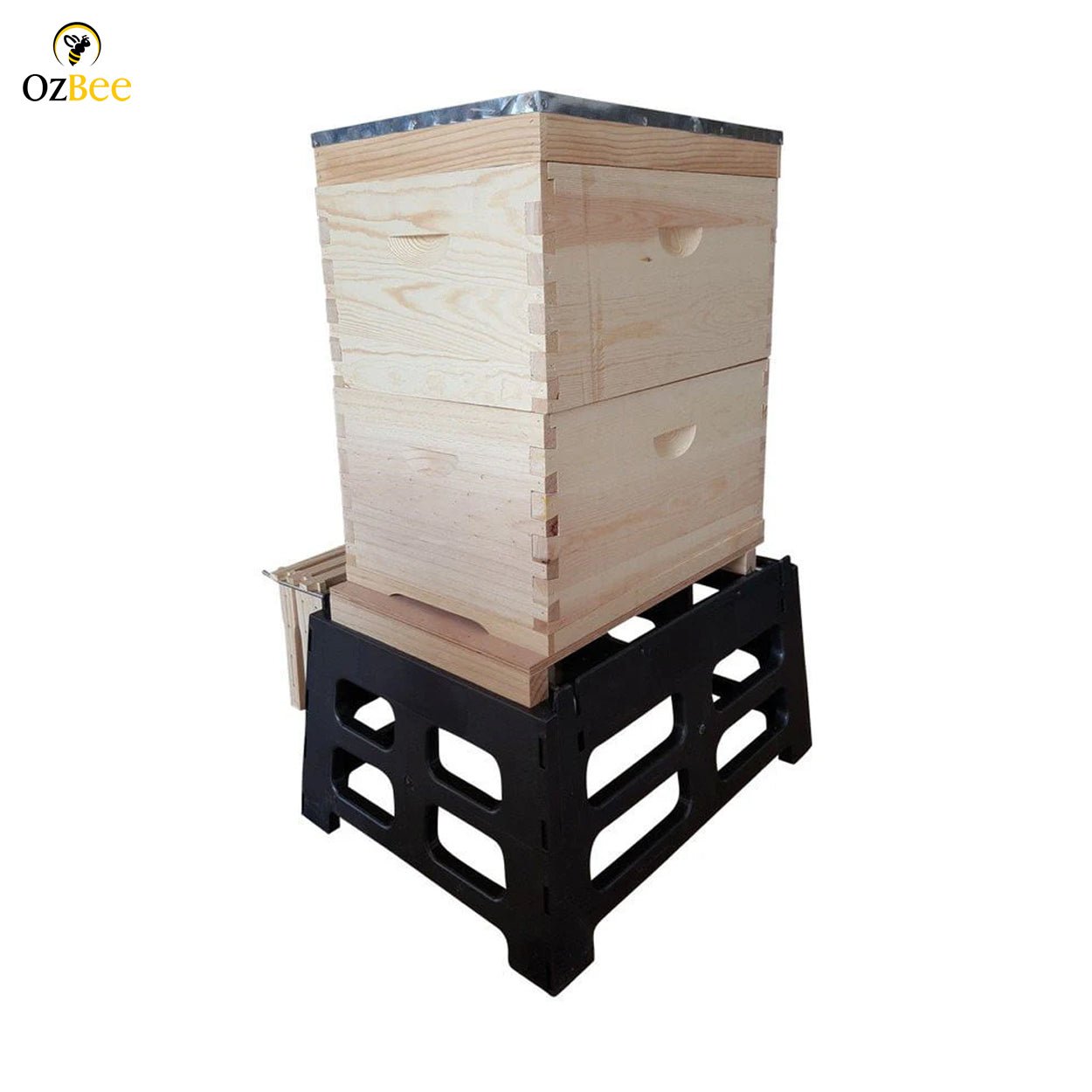 10-Frame Stainless Steel Bee Hive Stand with Frame Holder – Beekeeping ...